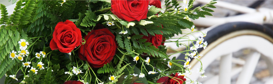 Todo lo que nessesitas para tu boda :: Bodas,Bodas